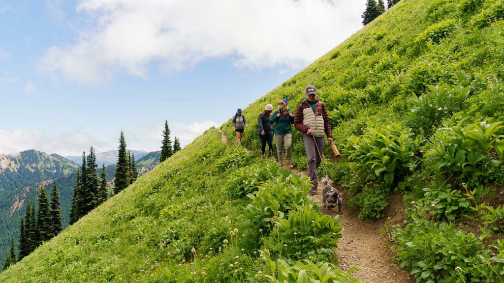 Top 3 Hiking Trails With Wildflowers at Crystal Mountain - Crystal Mountain