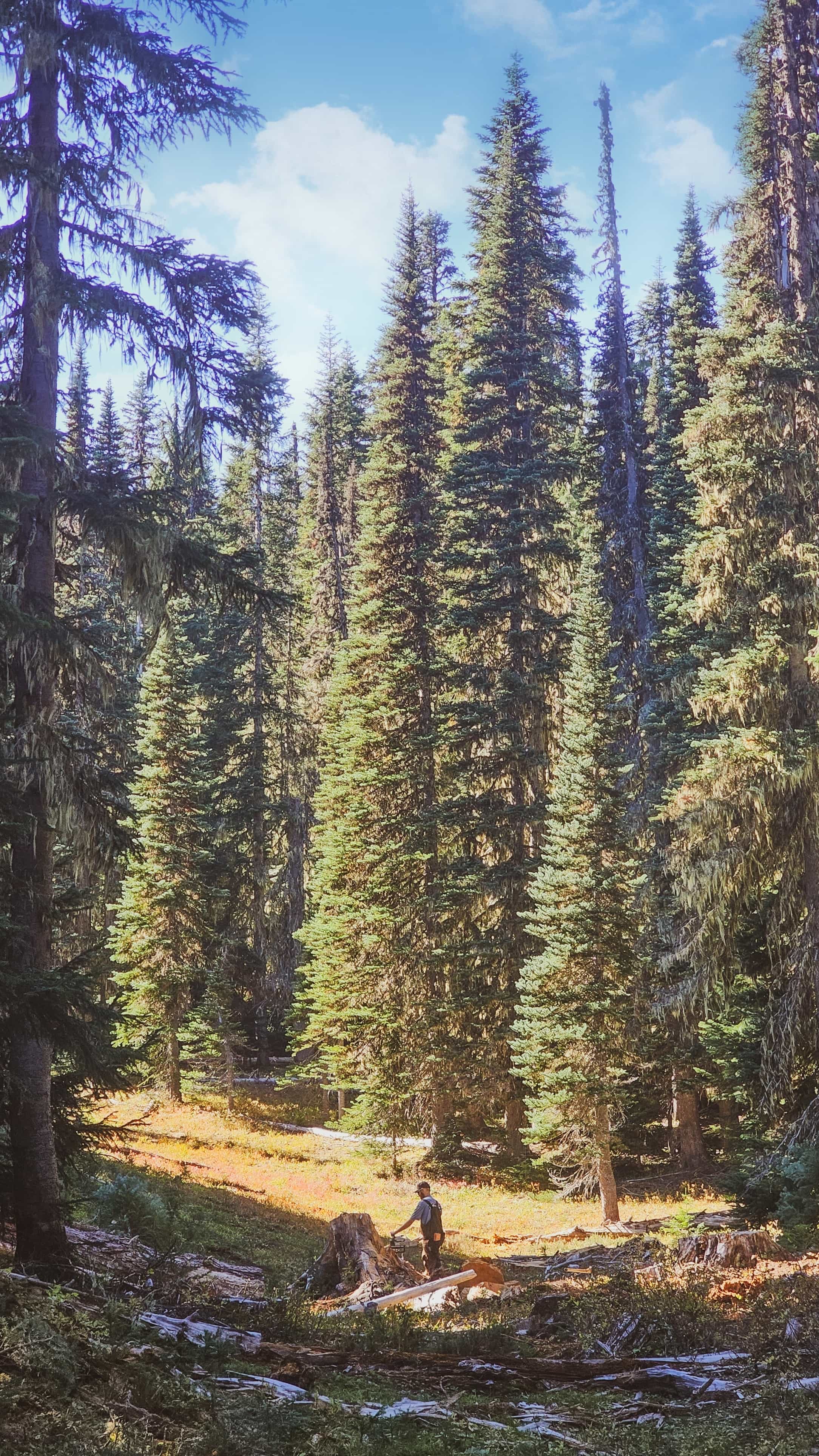 Crystal Mountains Trail Crew - Crystal Mountain